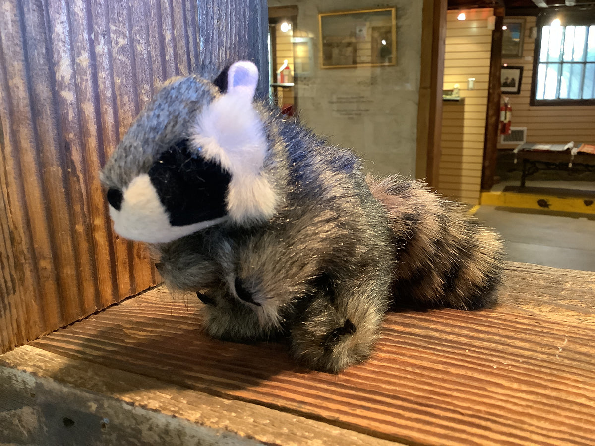 Mini Raccoon Puppet – Cabot's Museum Trading Post