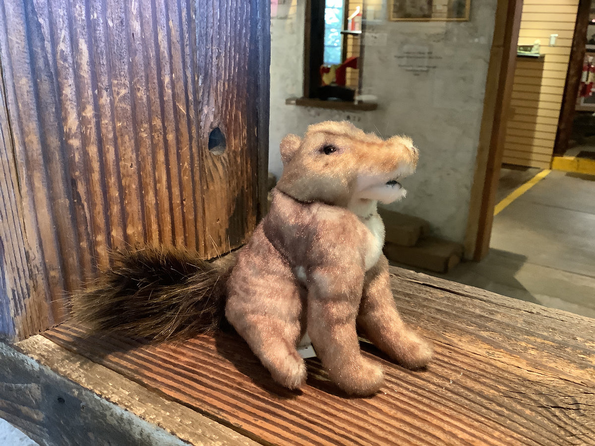 Mini Coyote – Cabot's Museum Trading Post