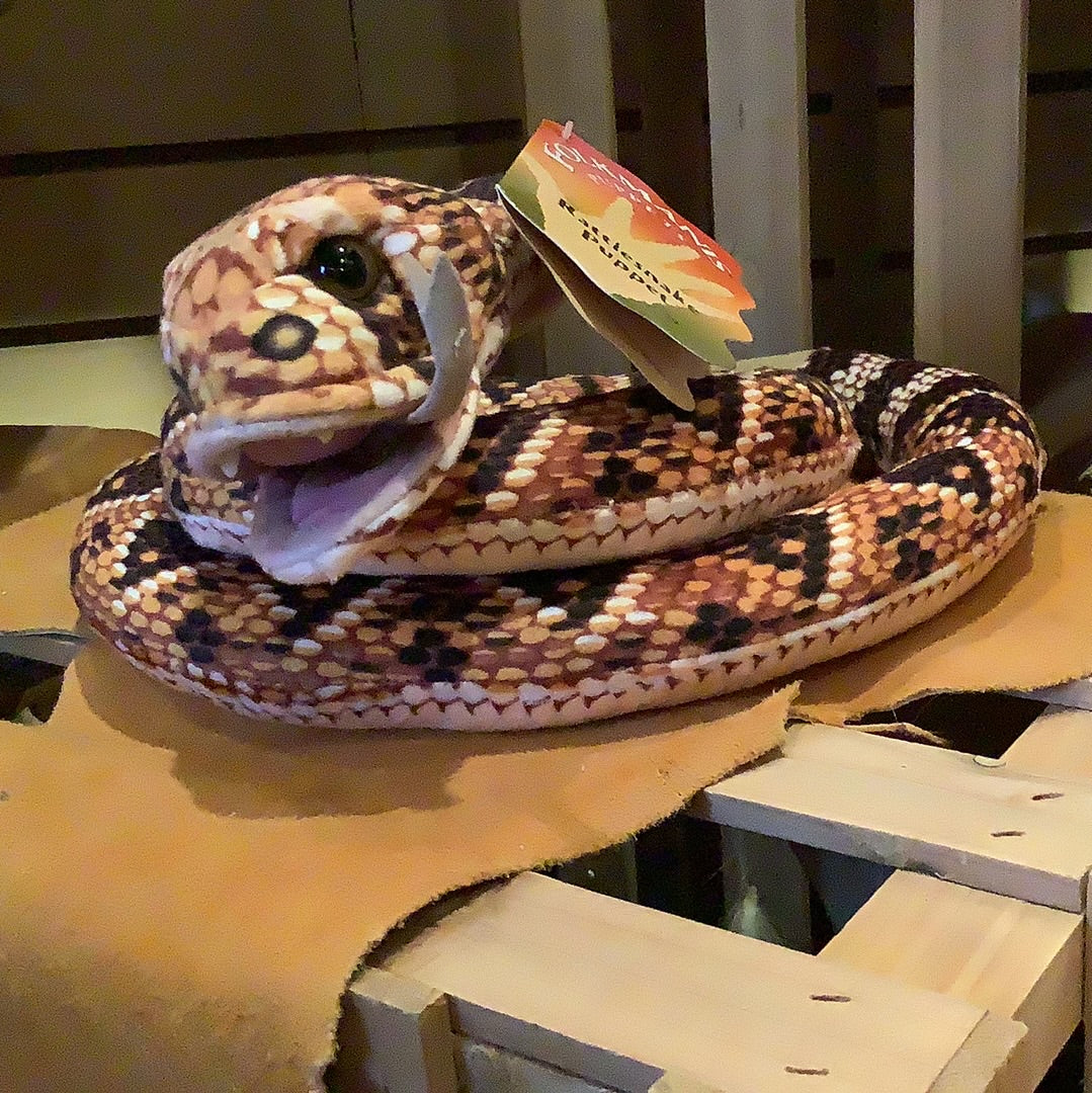 Rattlesnake – Cabot's Museum Trading Post