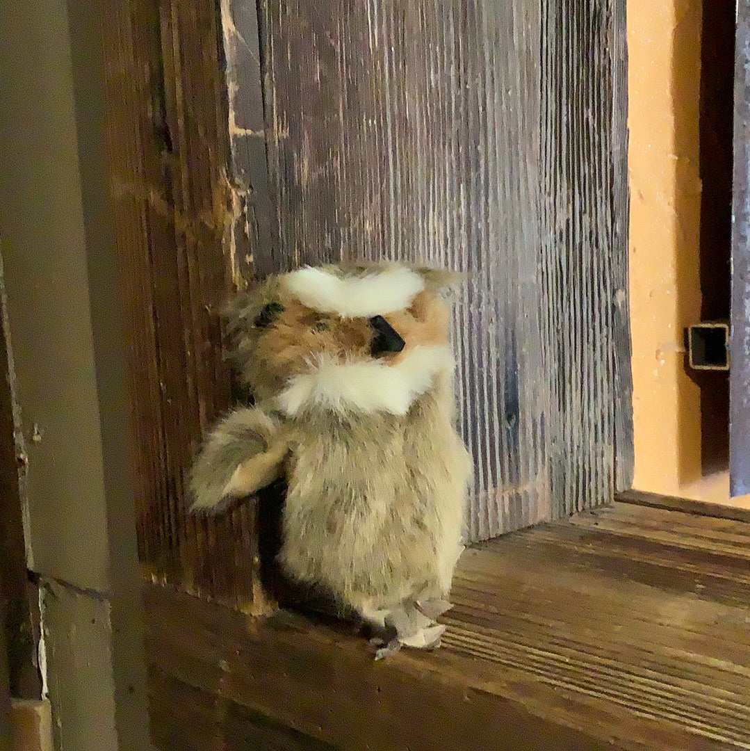 Mini Great Horned Owl – Cabot's Museum Trading Post