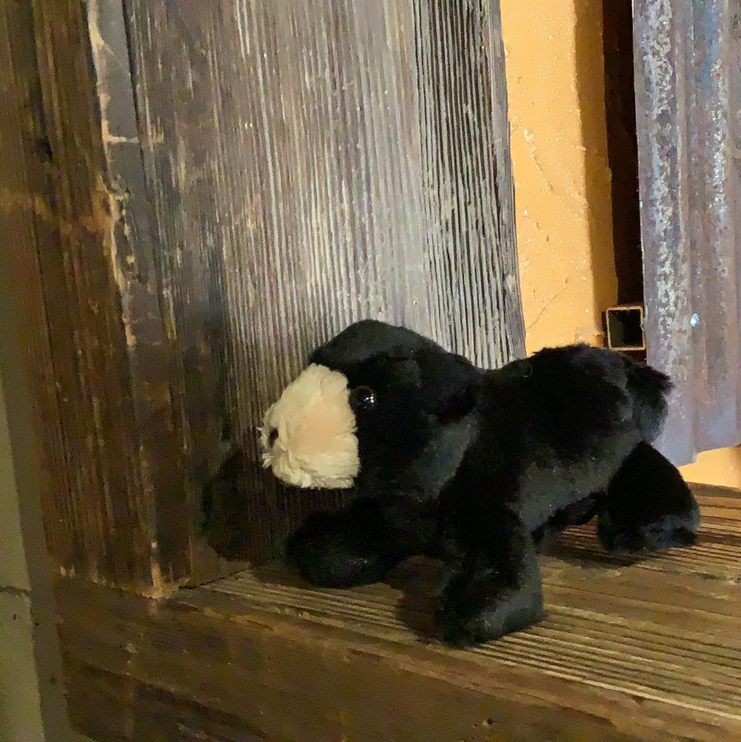 Mini Black Bear – Cabot's Museum Trading Post