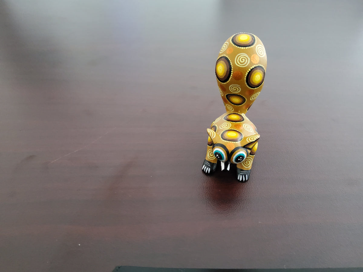 Raccoon – Cabot's Museum Trading Post