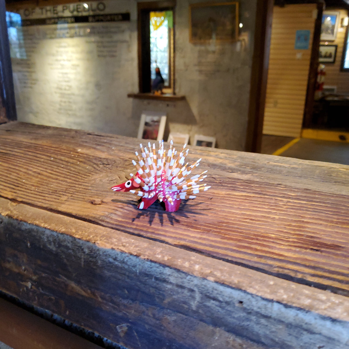 Mini Porcupine – Cabot's Museum Trading Post