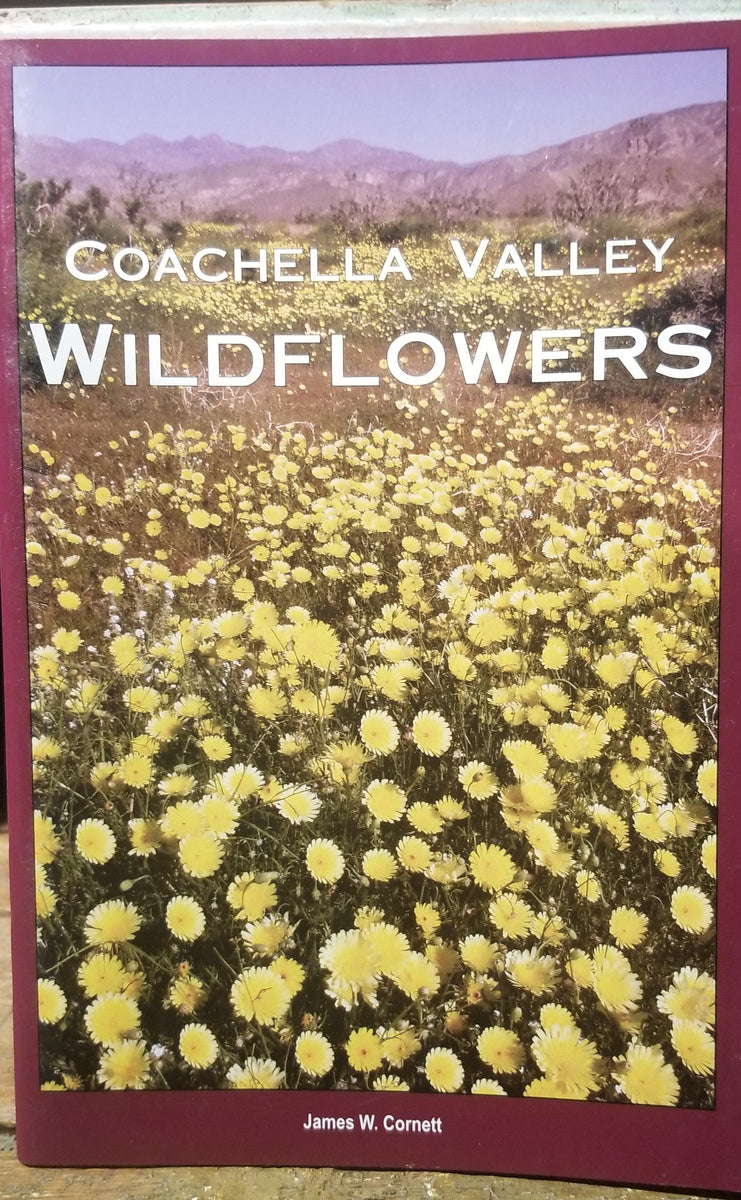 Coachella Valley Wildflowers – Cabot's Museum Trading Post